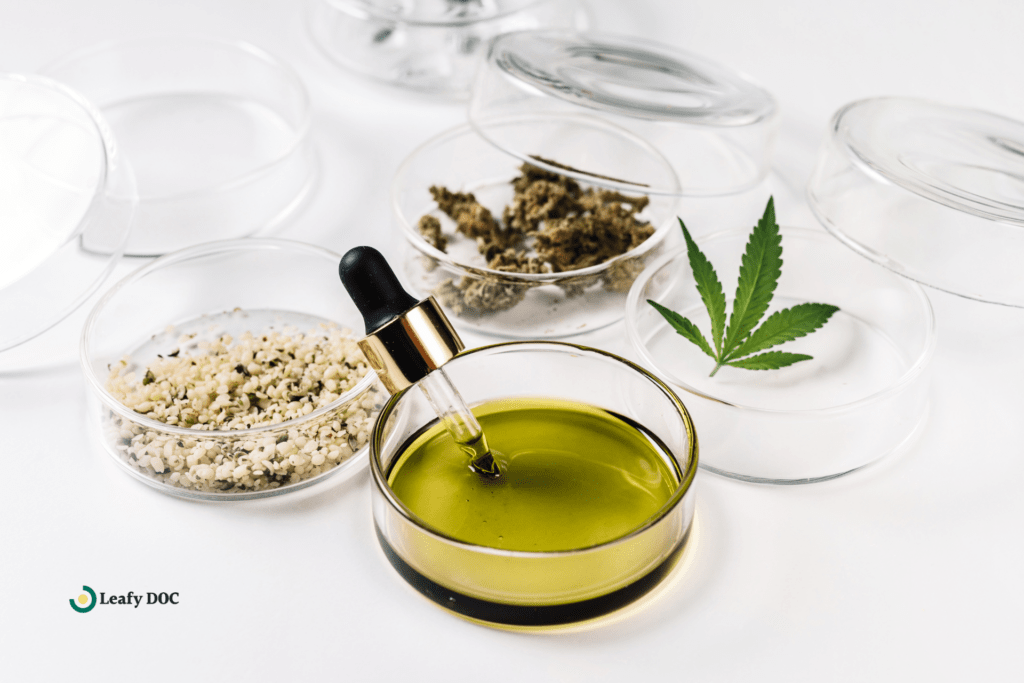 The Ultimate Guide to Hybrid Weed: Finding the Perfect Balance | Leafy DOC