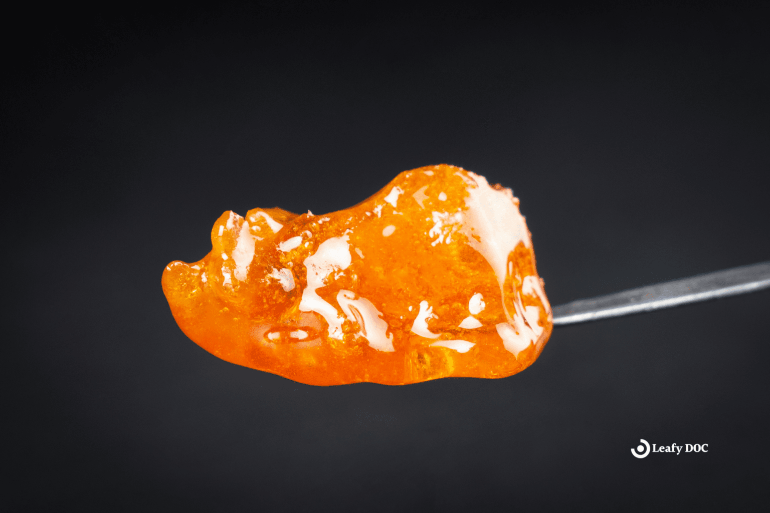 The Anatomy Of A Marijuana Leaf | Leafy DOC